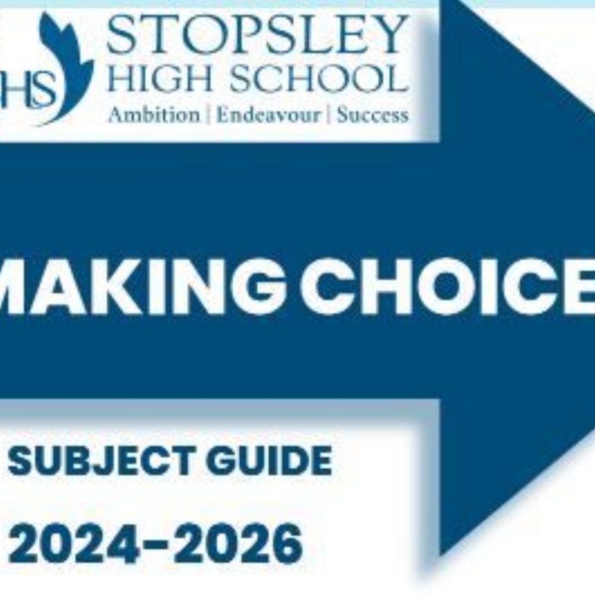 Stopsley High School - Making Choices 2024